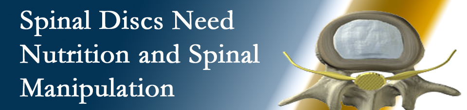 Spinal Discs Need Nutrition and Spinal Manipulation | Gormish ...